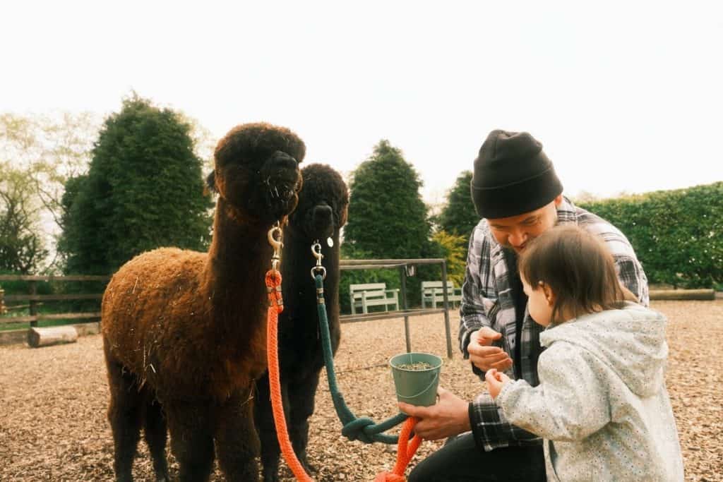 26+ Best Things to Do in Stoke-On-Trent in Summer: [by a local]