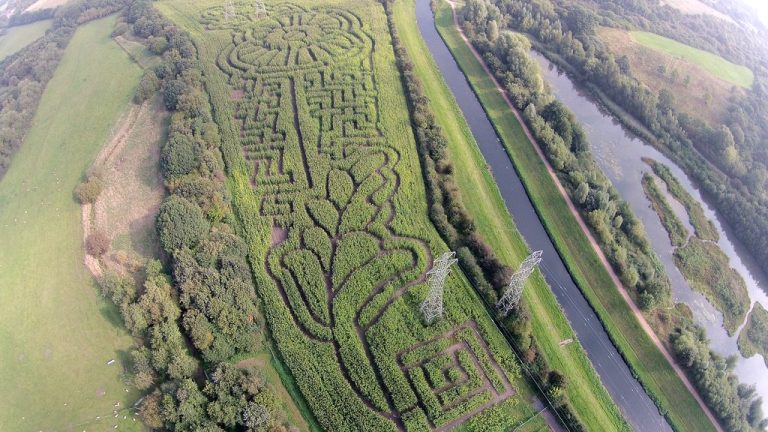 13 Best Mazes in the West Midlands for an Amazeing Family Day Out Near Me